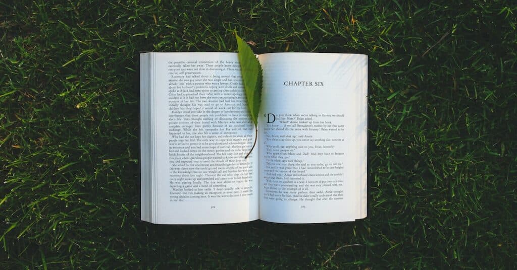 ‘Lie’ or ‘Lye’: What’s the Difference?